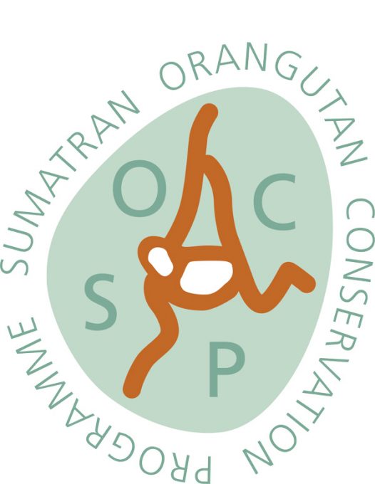 Sumatran Orangutan Conservation Programme (SOCP) - Orangutan Outreach