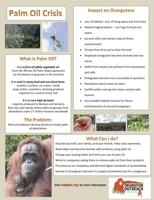 Action Packs - Orangutan Outreach