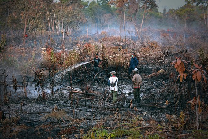 Emergency Fire Fund — BORNEO IS BURNING! - Orangutan Outreach