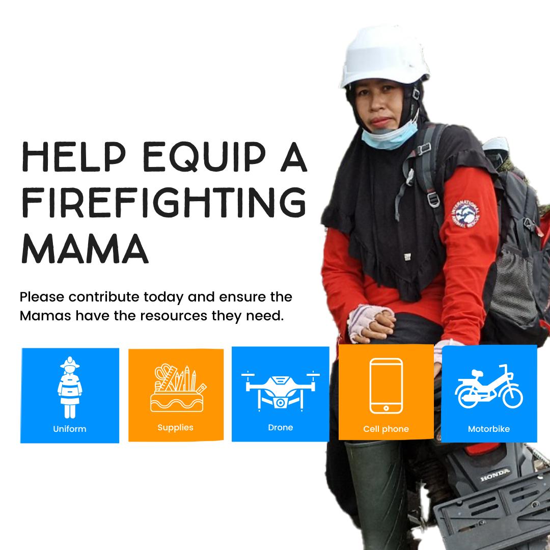 The Power of Mama - Orangutan Outreach